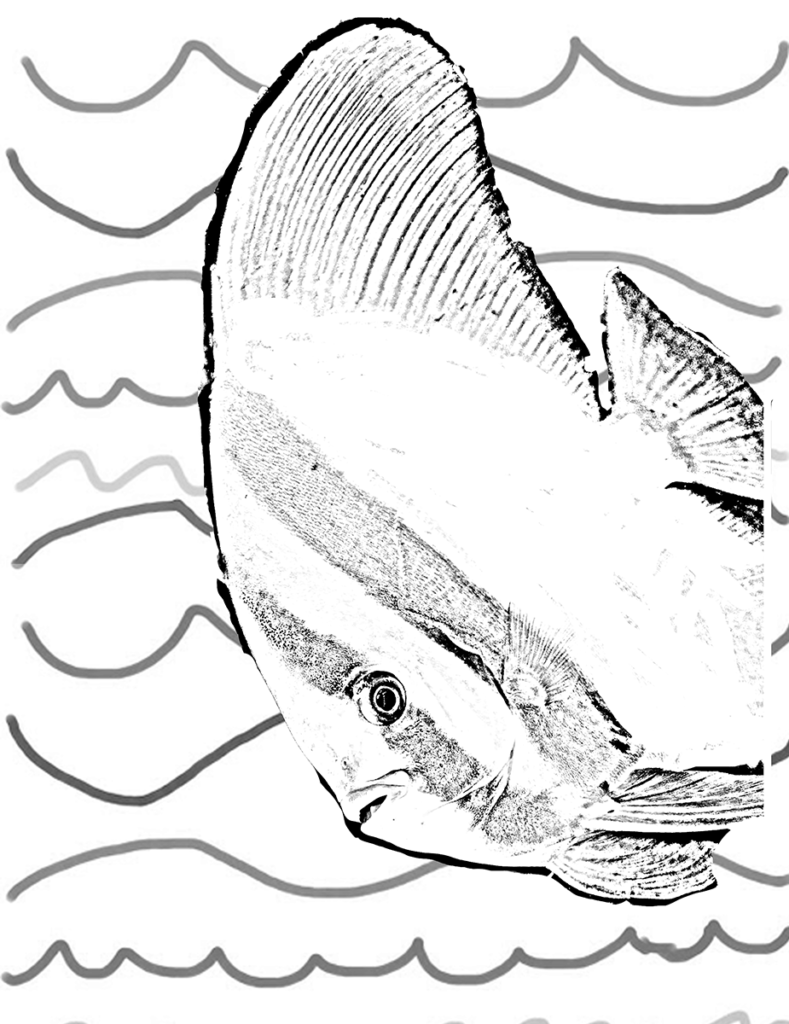 All Fish Faces Coloring Book – Tam Warner Minton